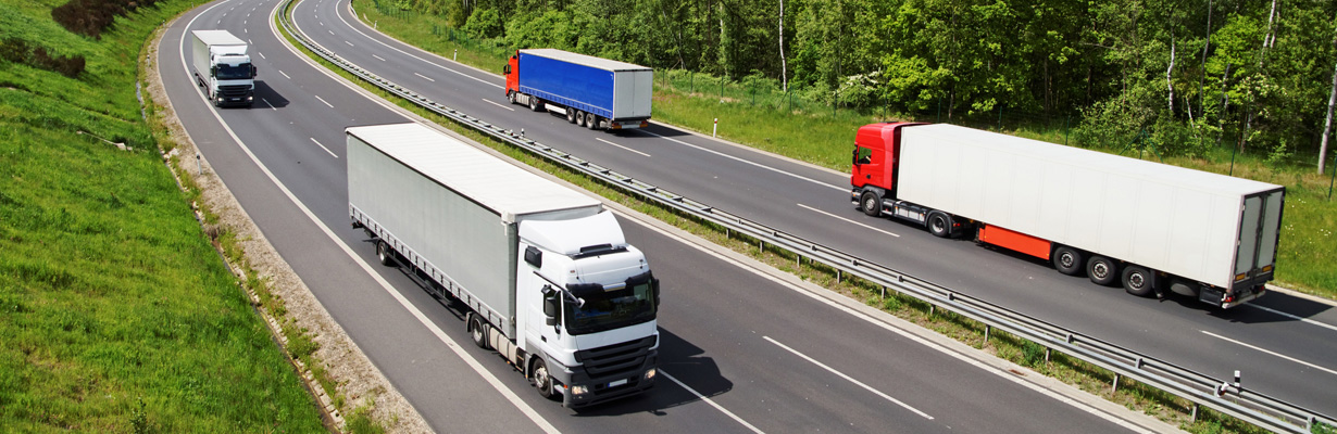 What to consider when securing cargo with web lashing | RoRo International